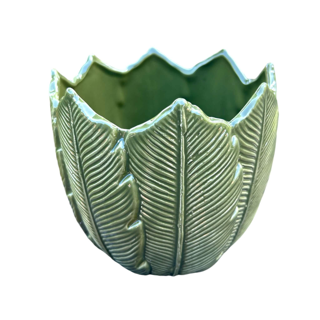 Ceramic Leaf Design Pot (Green) – The Lily Pot
