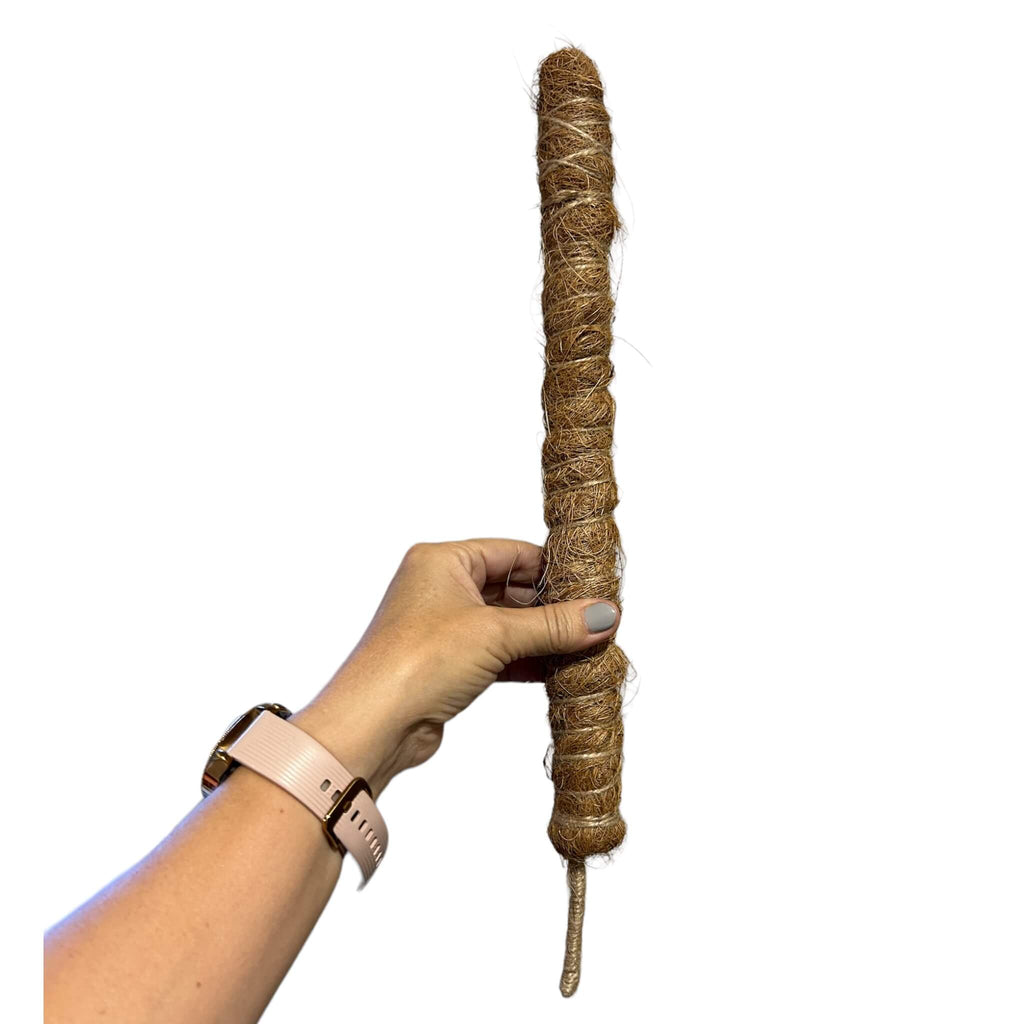 40cm Bendable Coconut Plant Stake for Climbing – The Lily Pot